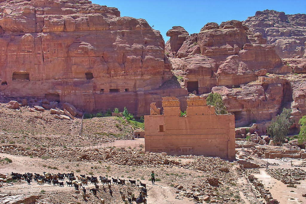 Bedu Expeditionen. Fotogalerie Jerash, Dana, Petra & Wadi Rum